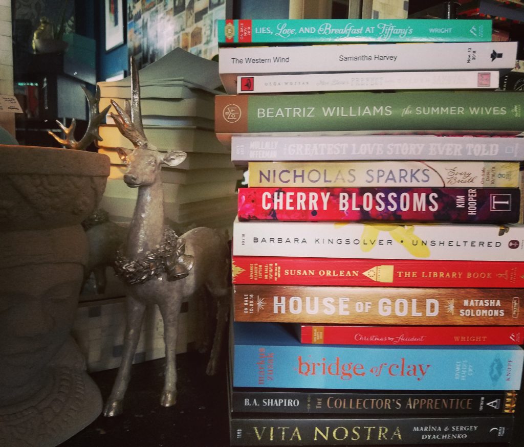 The November To Be Read Book Stack - Perfectionist Wannabe